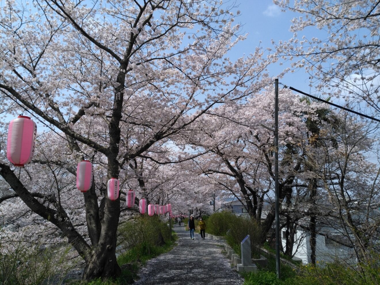 1552999058497 | Narakko!（奈良っこ）