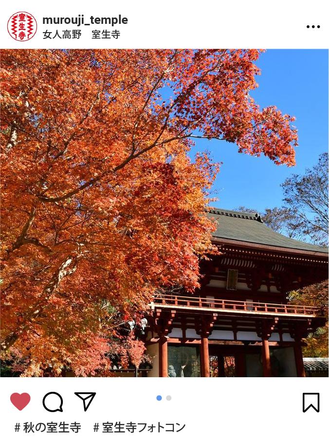 室生寺フォトコンテスト 2025