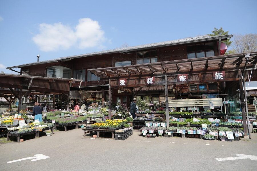 奈良と京都南部で人気の家庭菜園・ガーデニング専門店「愛栽家族」の秘密に迫る〈前編〉[PR] | Narakko!（奈良っこ）