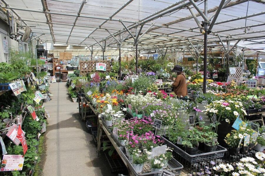 奈良と京都南部で人気の家庭菜園・ガーデニング専門店「愛栽家族」の秘密に迫る〈後編〉[PR] | Narakko!（奈良っこ）